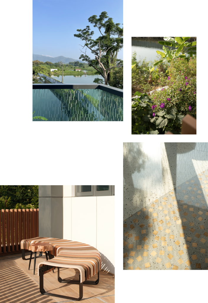 wwf peter scott visitor centre - via.