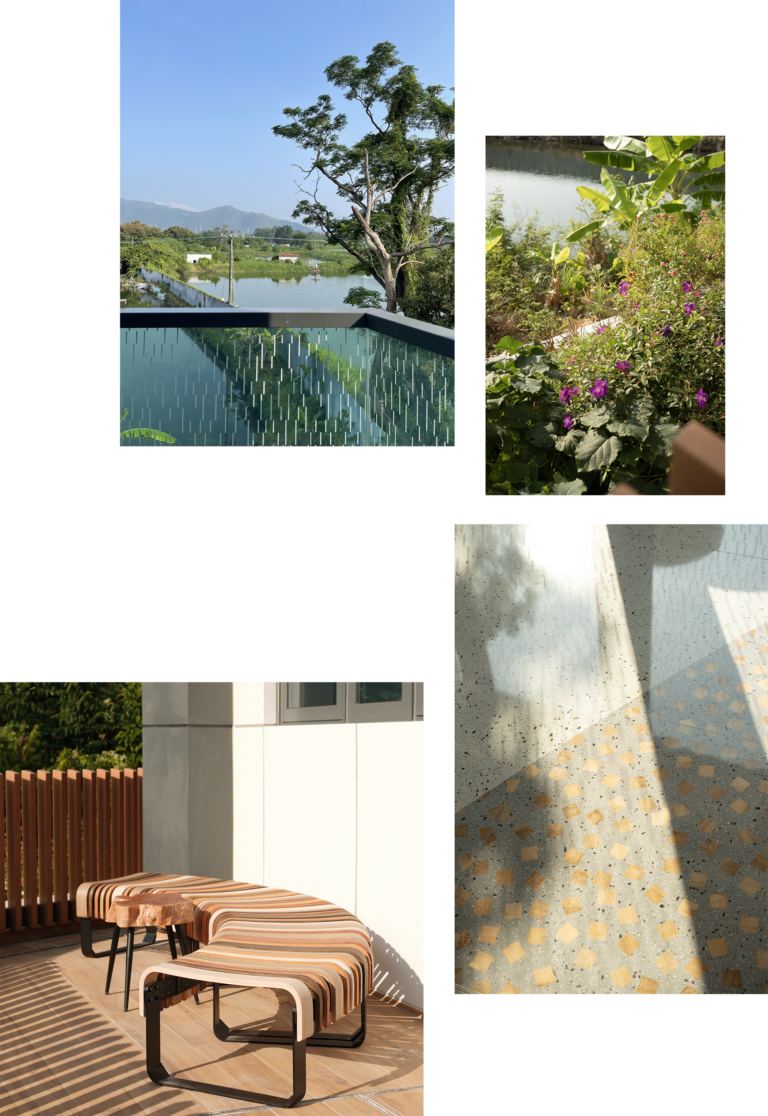 wwf peter scott visitor centre - via.